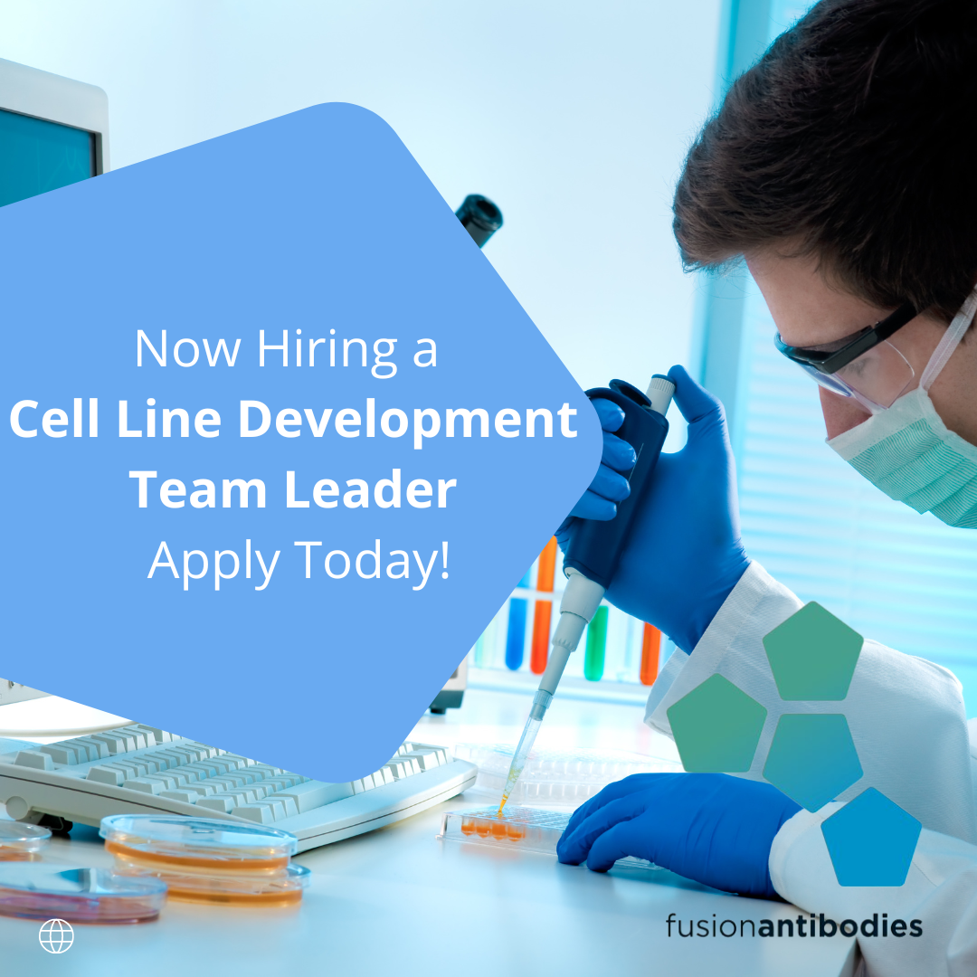 CLD Team Leader - Fusion Antibodies
