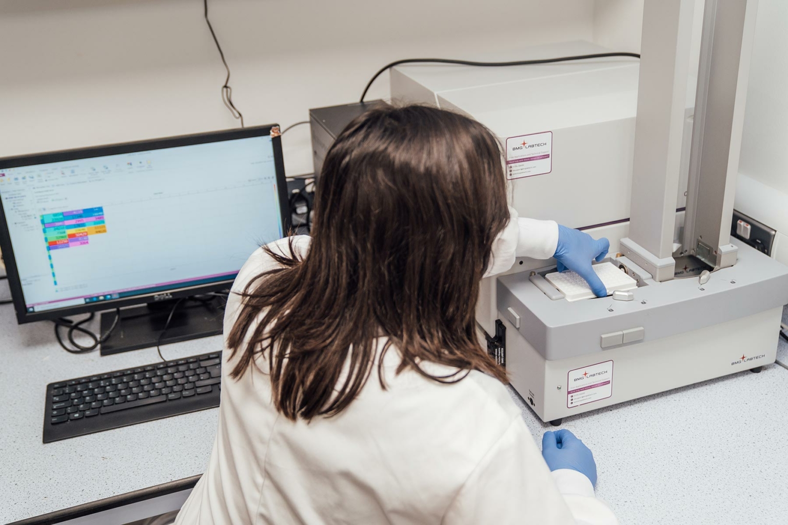 Antibody Characterization | Antibody Supply | Fusion Antibodies